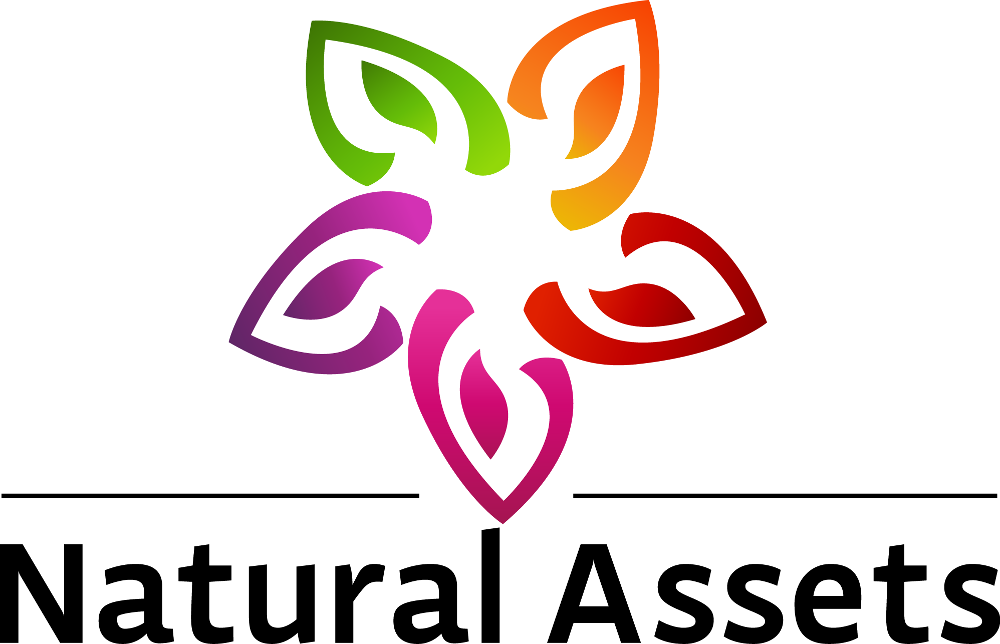 Natural Assets @ Workspace – Facilitators of Change